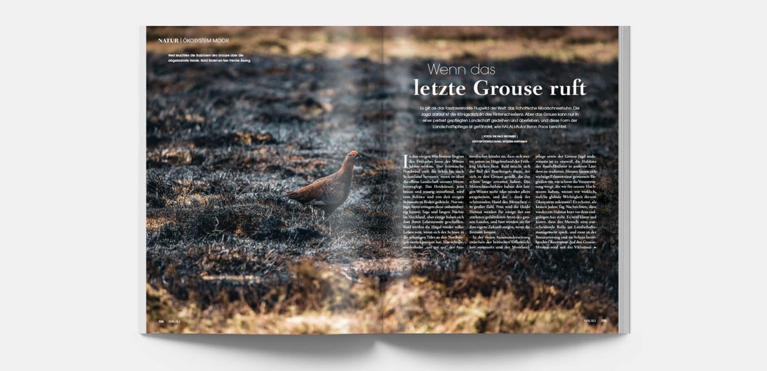 Natur – HALALI – Jagd, Natur & Lebensart