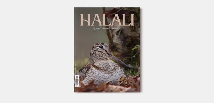 HALALI – Jagd, Natur & Lebensart